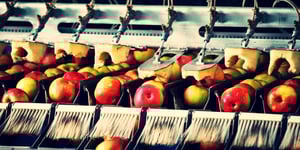 How to Implement an FSVP Plan in 7 Steps